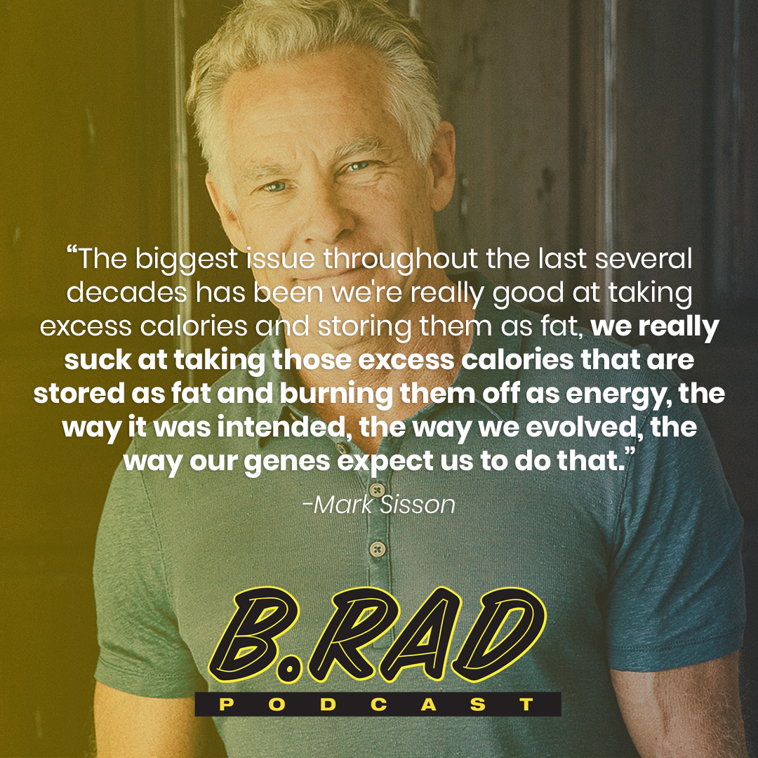 Mark Sisson and Brad Kearns: Introducing Two Meals A Day - B.rad ...