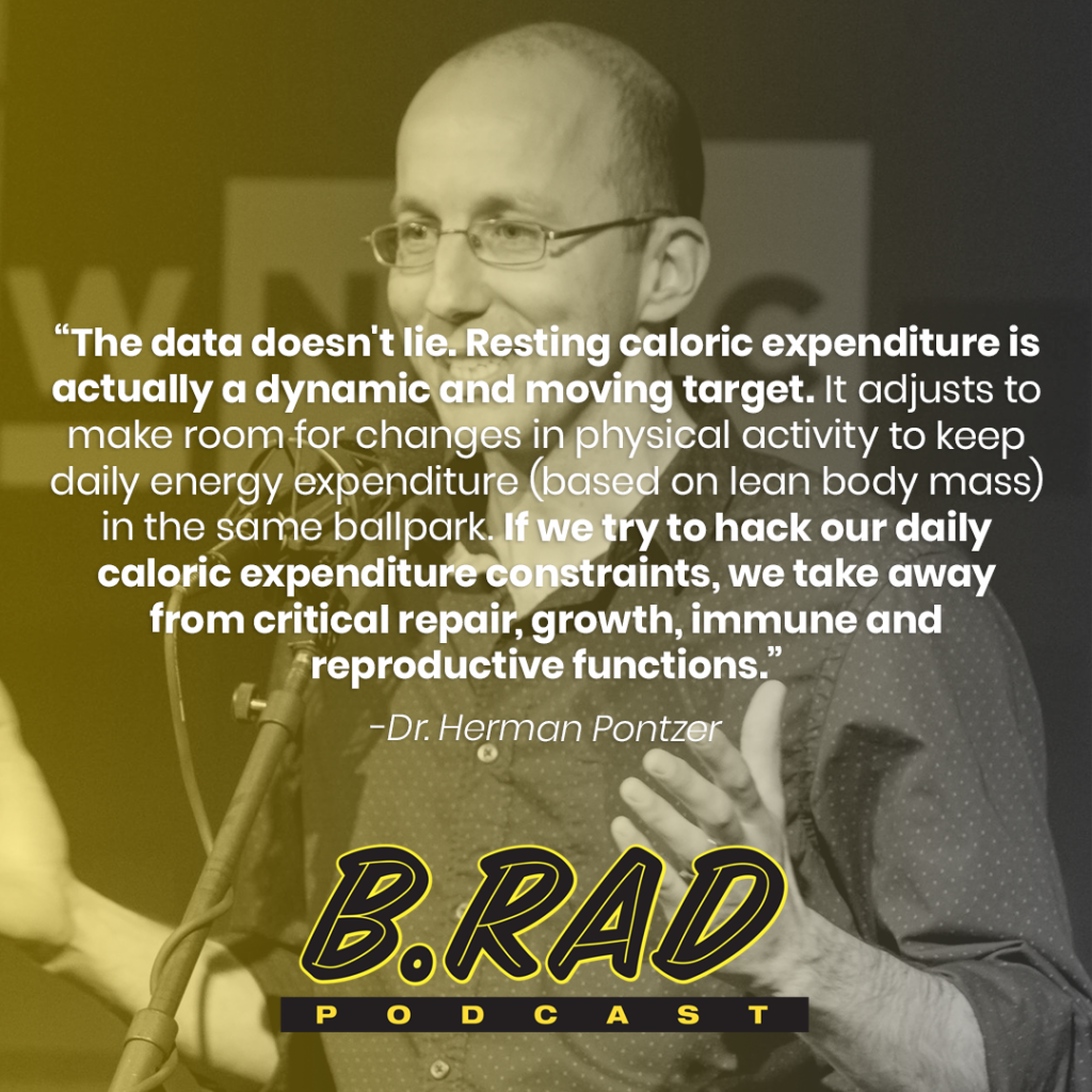 Dr. Herman Pontzer: “The Data Always Wins” - B.rad Podcast with Brad Kearns